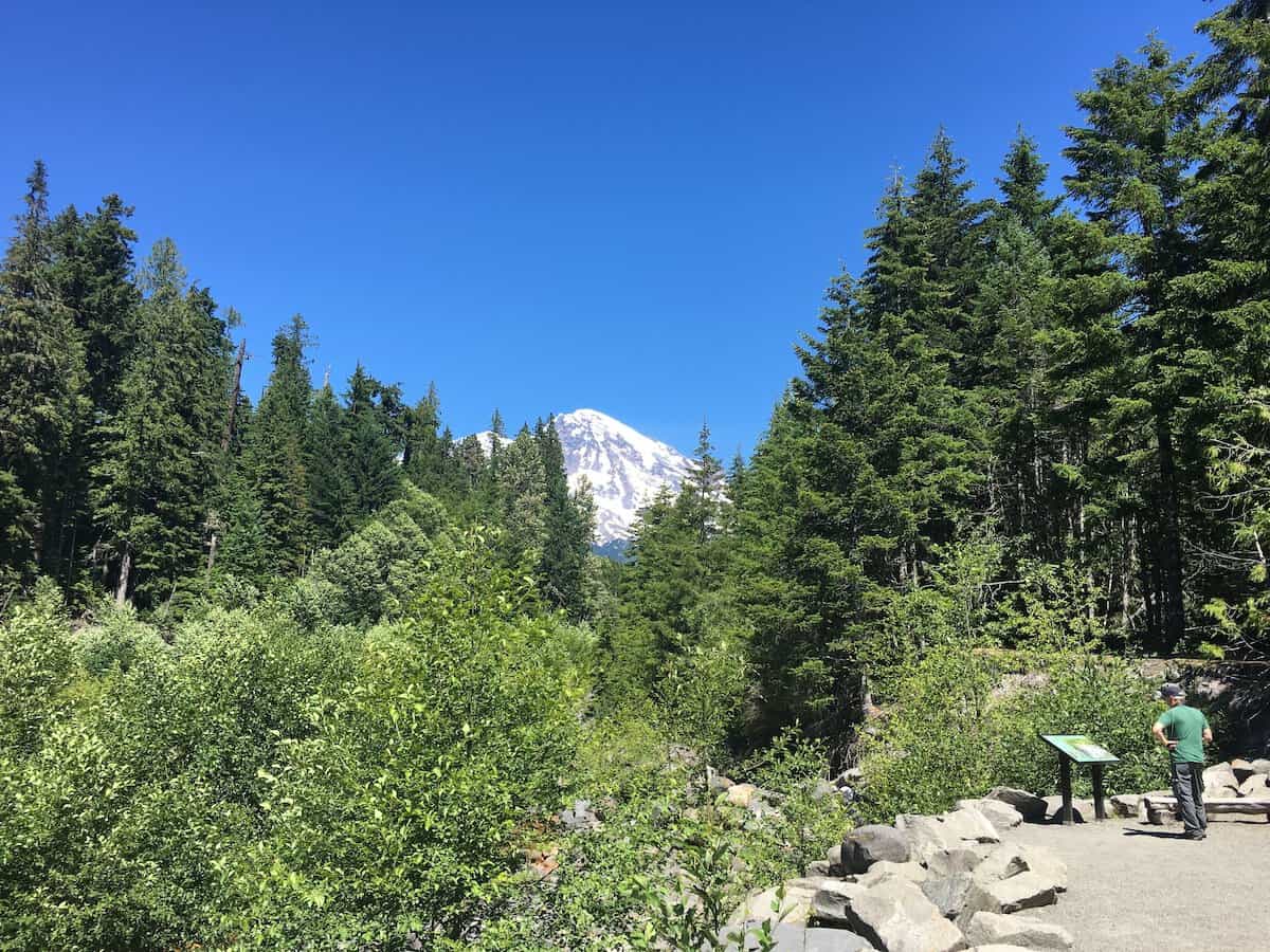 14 Things to Do in Mount Rainier National Park | Carful of Kids Travel