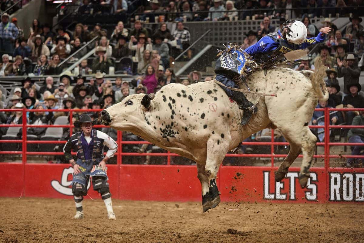 Texas Rodeo | Carful of Kids Travel